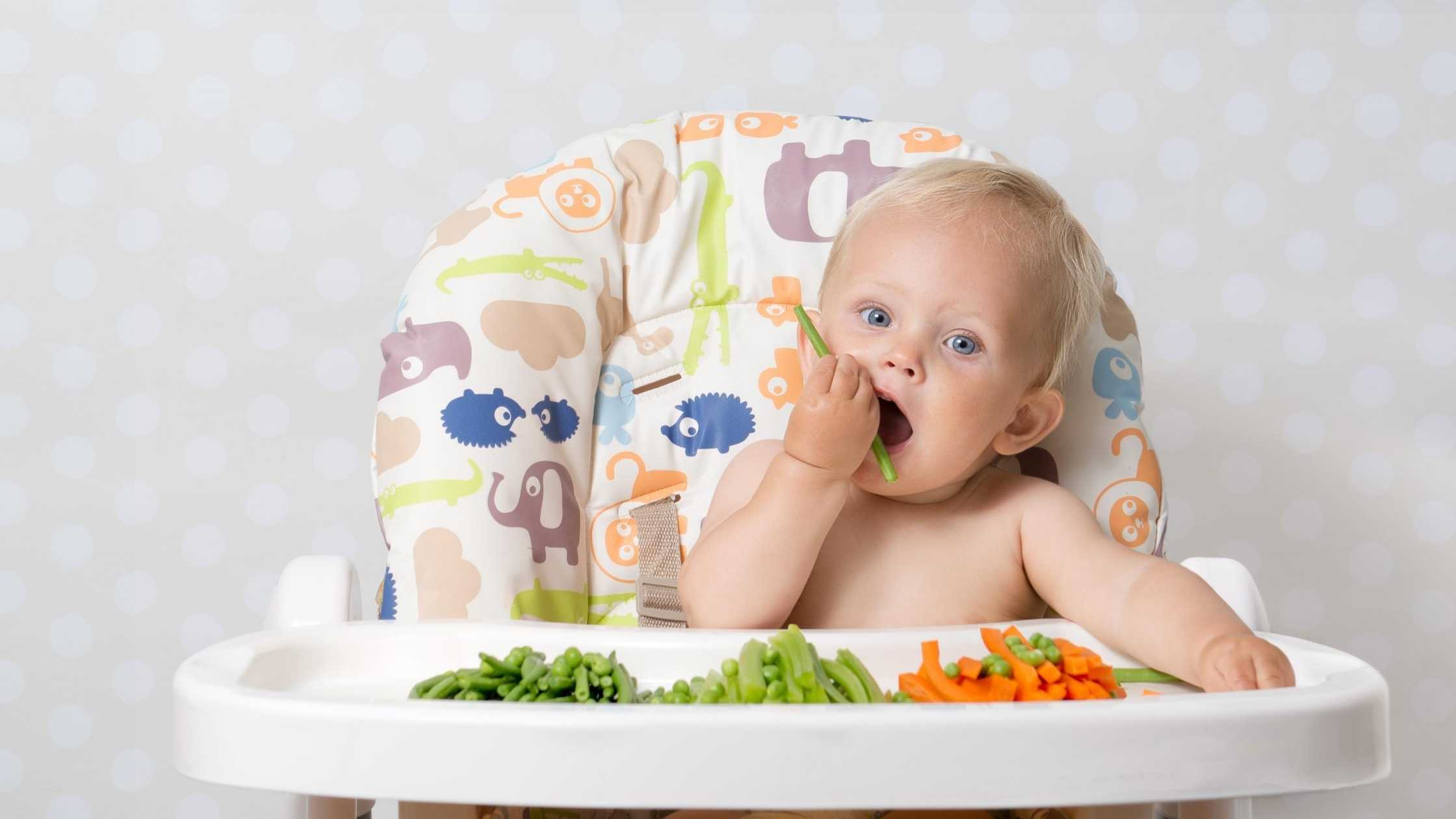 Rotina para uma boa Introdução Alimentar! - Blog Das Dicas Rotina para uma boa Introdução Alimentar! - Blog Das Dicas
